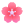 Cherry Blossom Icon - Free PNG & SVG | Fluent Emoji